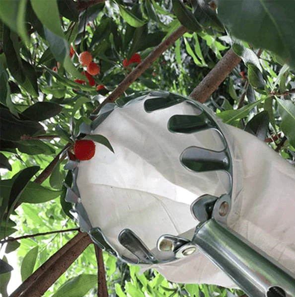 Fruit Picker Bag – produckpk