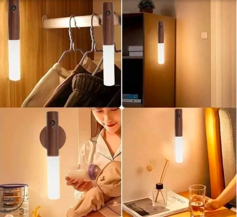 Magnetic Induction Light – produckpk